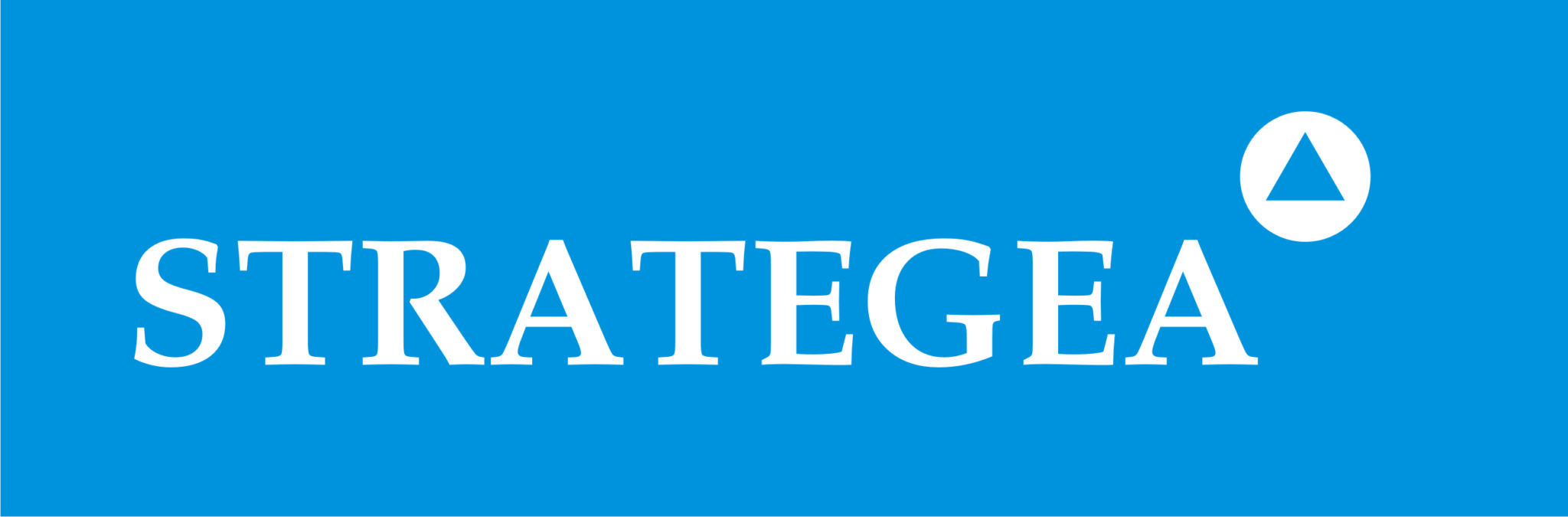 Strategea – Helping Your Business Grow Faster and Better